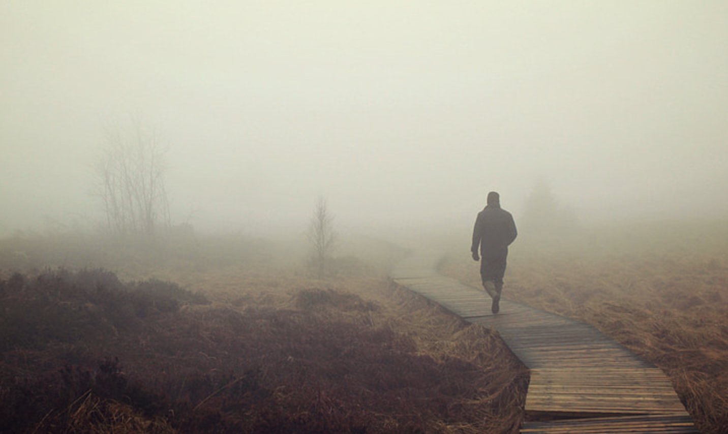 The echoes in the hallway: How I deal with corridor criticism – Behind ...